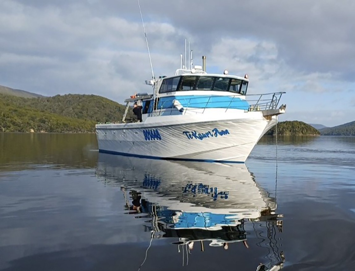 Stewart Island Hunting Charters | Premium NZ Adventures
