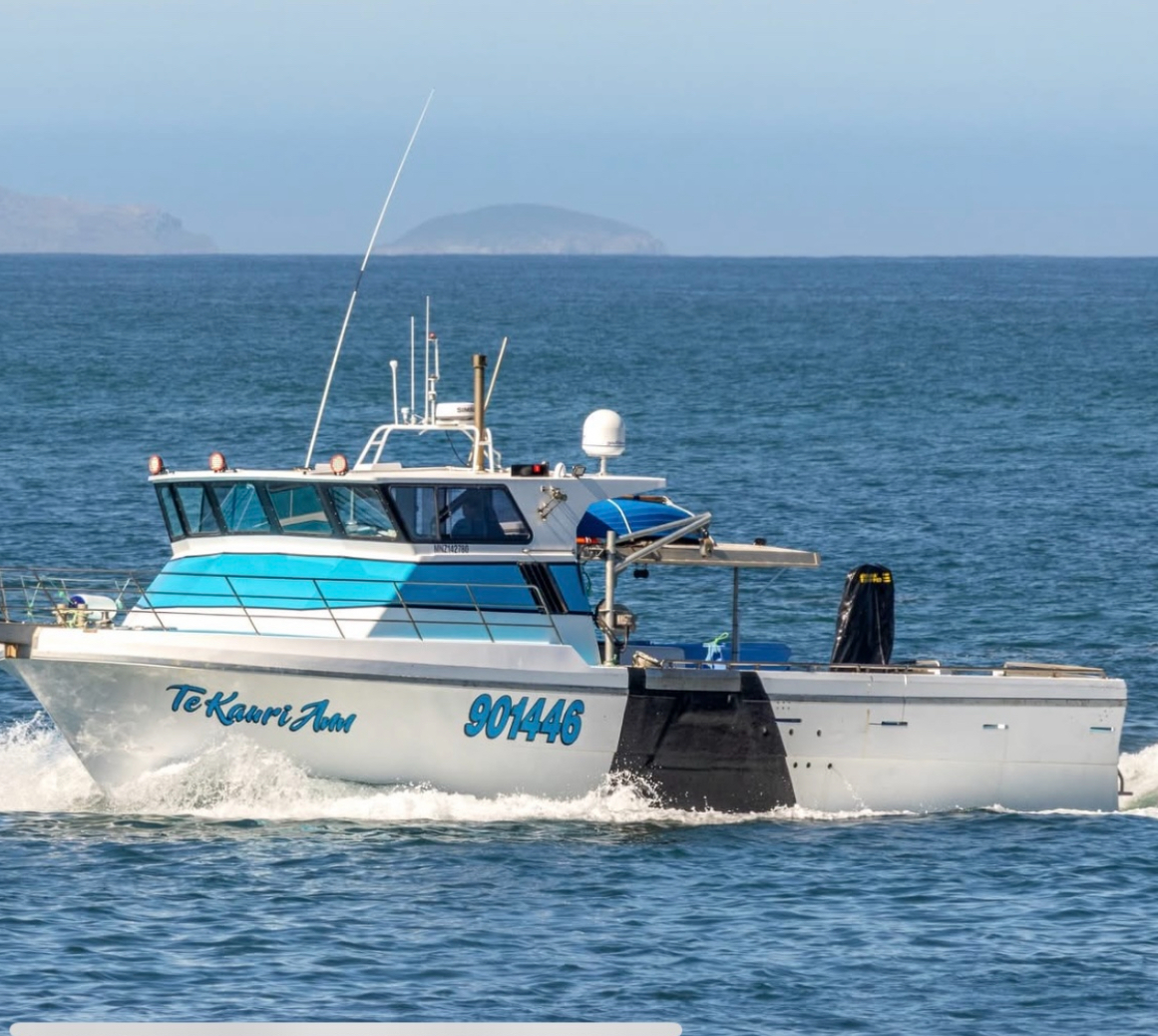 Stewart Island Hunting Charters | Premium NZ Adventures